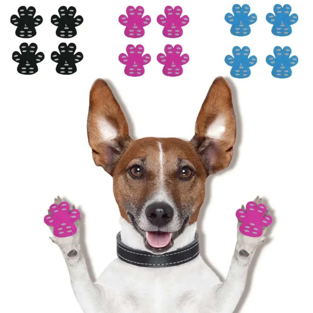 ProtectPaw Pads 16pcs – PawsomeMom